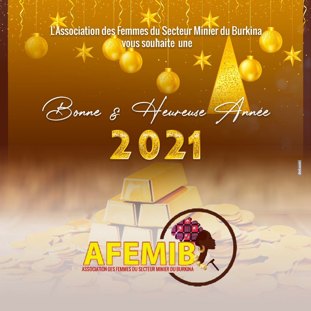 Axes prioritaires | Association des femmes du secteur Minier au Burkina ...